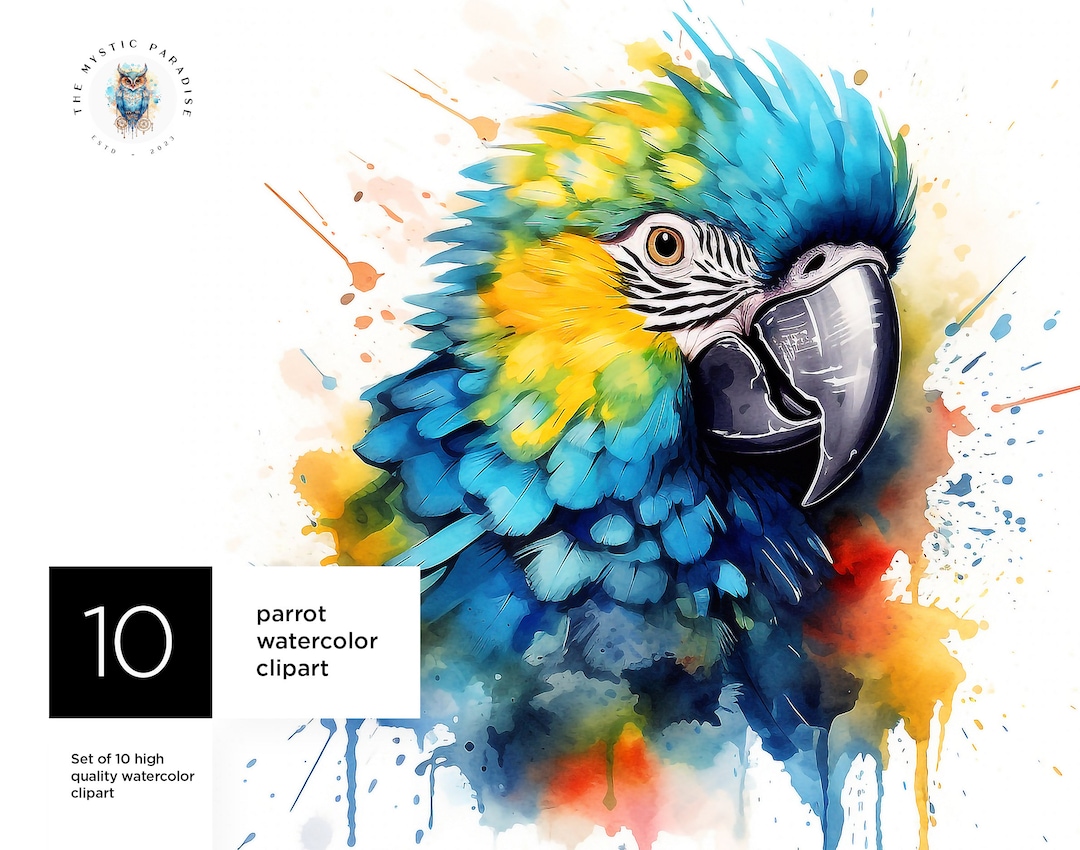 Colorful Parrot Clipart, Set of 10 JPG High Quality Watercolor Clipart ...