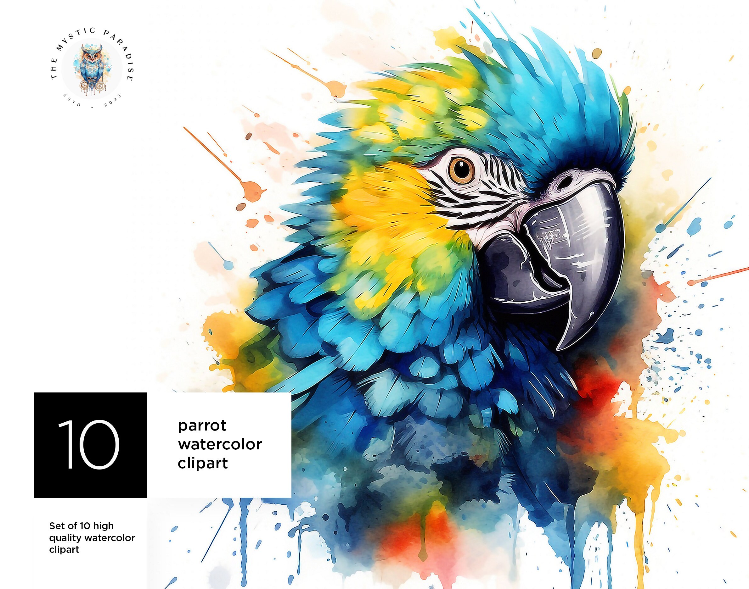 Colorful Parrot Clipart, Set of 10 JPG High Quality Watercolor Clipart ...