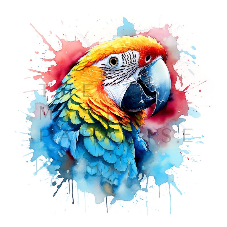 Colorful Parrot Clipart, Set of 10 JPG High Quality Watercolor Clipart ...
