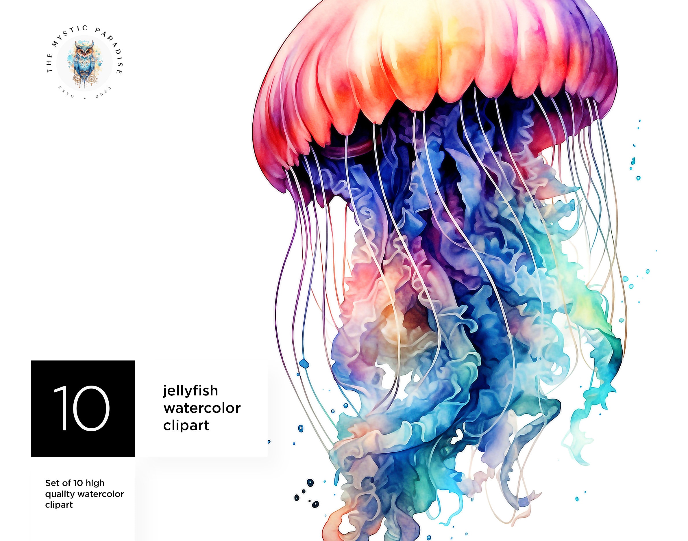 Colorful Jellyfish Clipart, Set of 10 JPG High Quality Watercolor ...