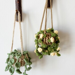 Tiny Pothos Crochet Pattern Bundle | Pothos Jade, Monstera and String ...