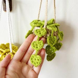 Tiny Pothos Crochet Pattern Bundle | Pothos Jade, Monstera and String ...