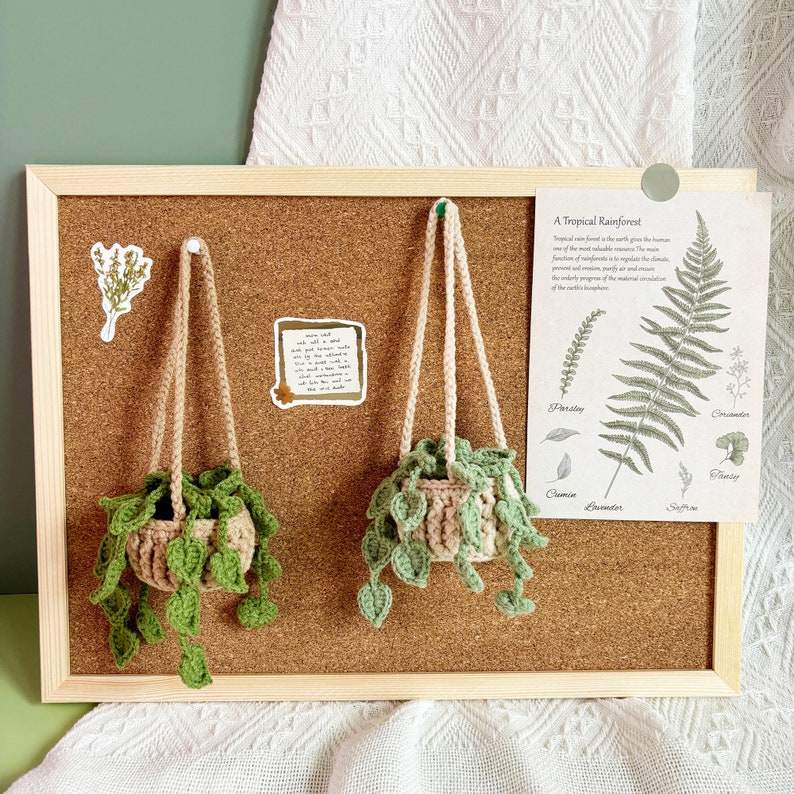 Pothos Crochet Pattern Bundle: Jade, Monstera, String of Pearls ...