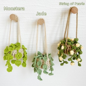 Tiny Pothos Crochet Pattern Bundle | Pothos Jade, Monstera and String ...