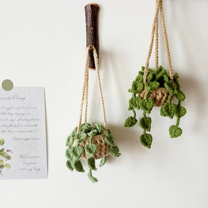 Tiny Pothos Crochet Pattern Bundle | Pothos Jade, Monstera and String ...