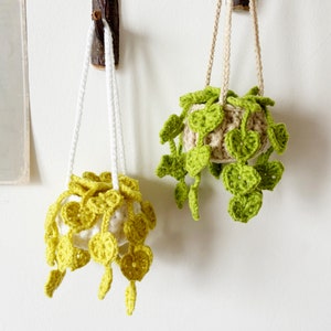 Tiny Pothos Crochet Pattern Bundle | Pothos Jade, Monstera and String ...