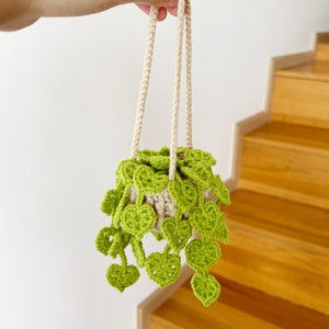 Tiny Pothos Crochet Pattern Bundle | Pothos Jade, Monstera and String ...
