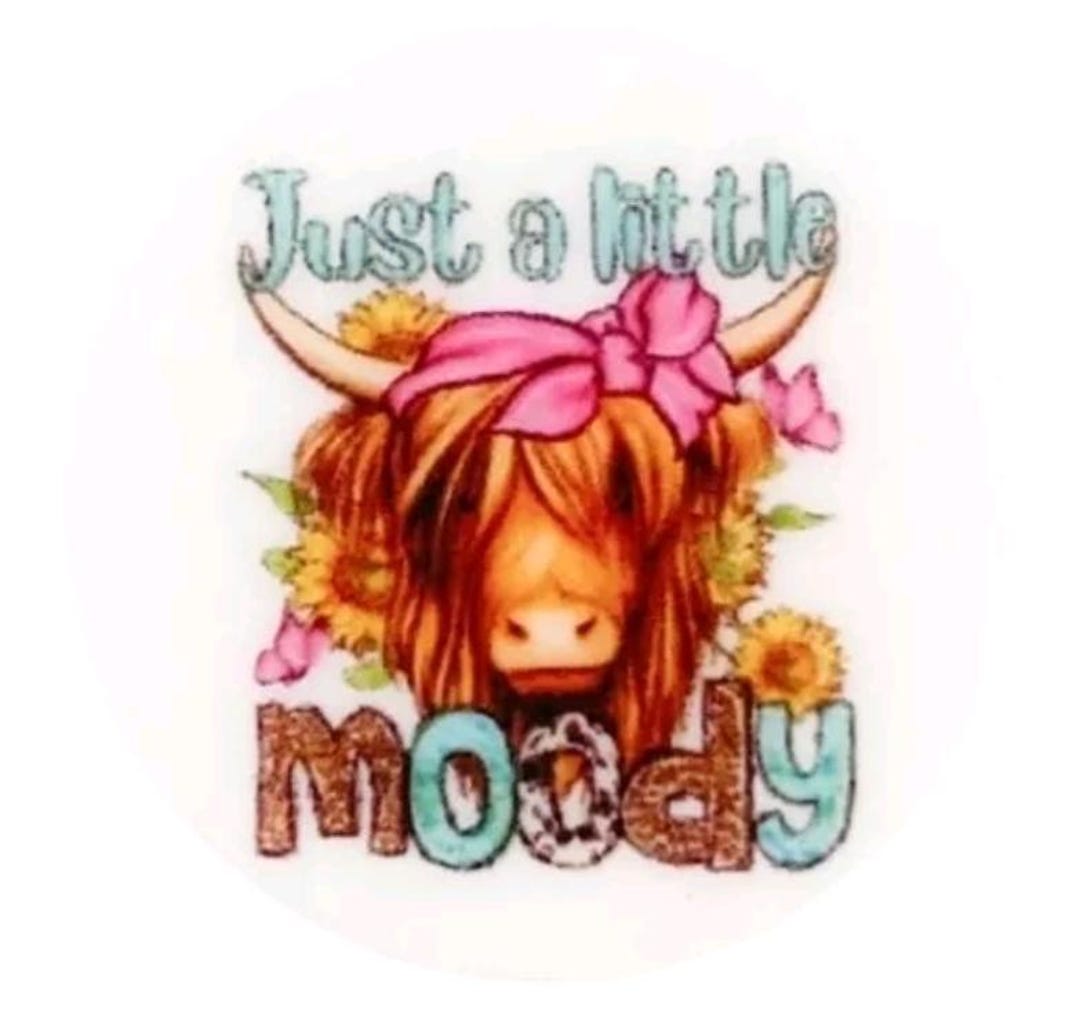 5 Pack Highland Cow Food Grade Just a Little Moody, for Beadable Pens ...