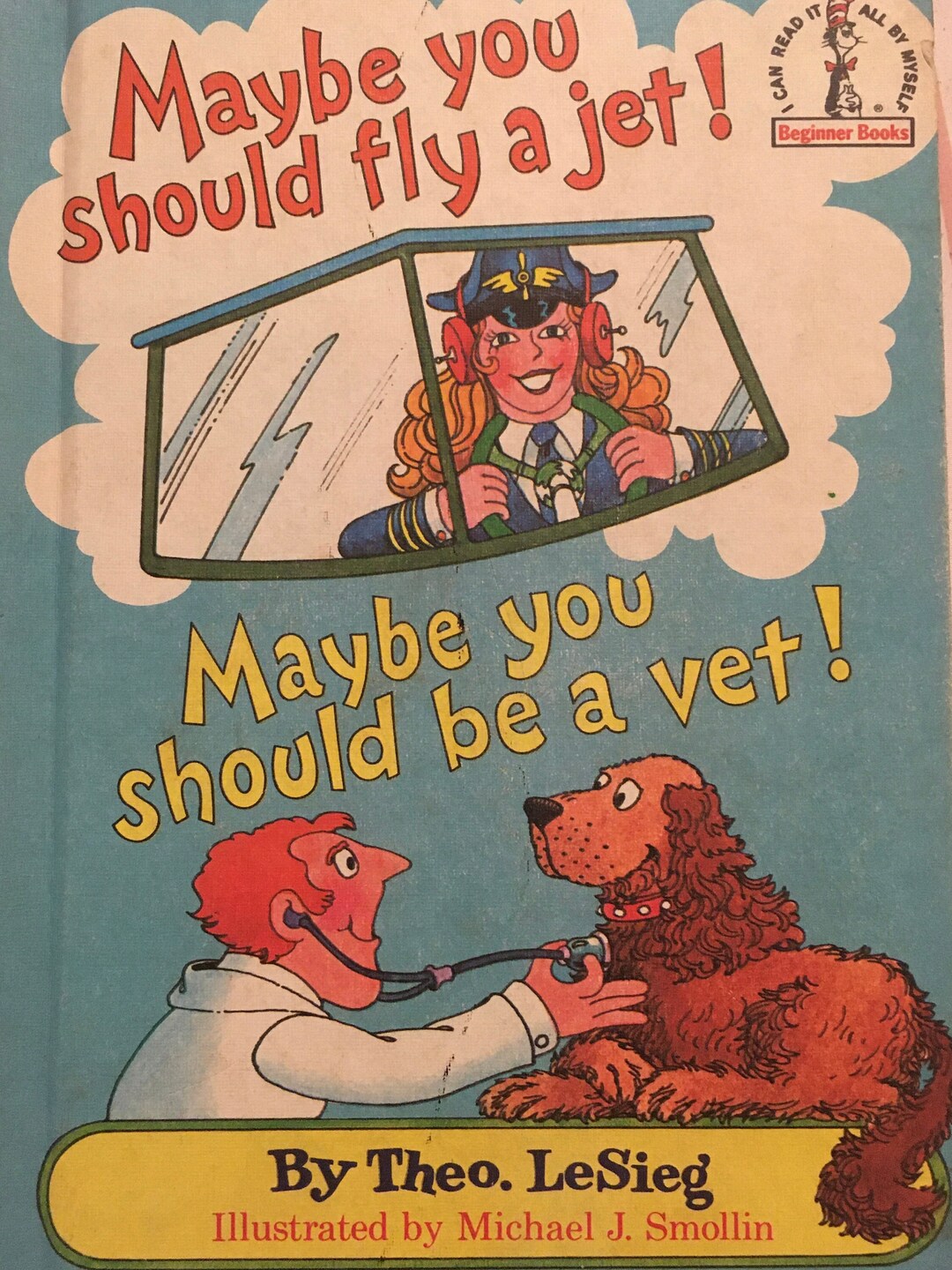 VINTAGE Maybe You Should Fly A Jet/childrens Books/theo Lesieg - Etsy