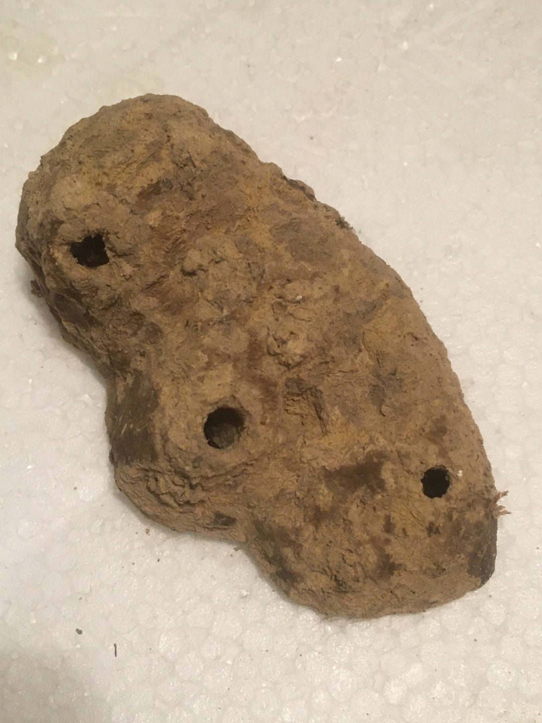 NATURAL DIRT DAUBER Nest/forest Finds - Etsy