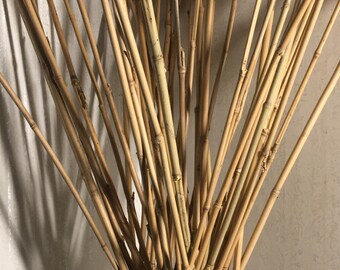 15 Pcs Unit Dried River Cane Sticks 917 Long, 1/83/8 Diameter - Etsy