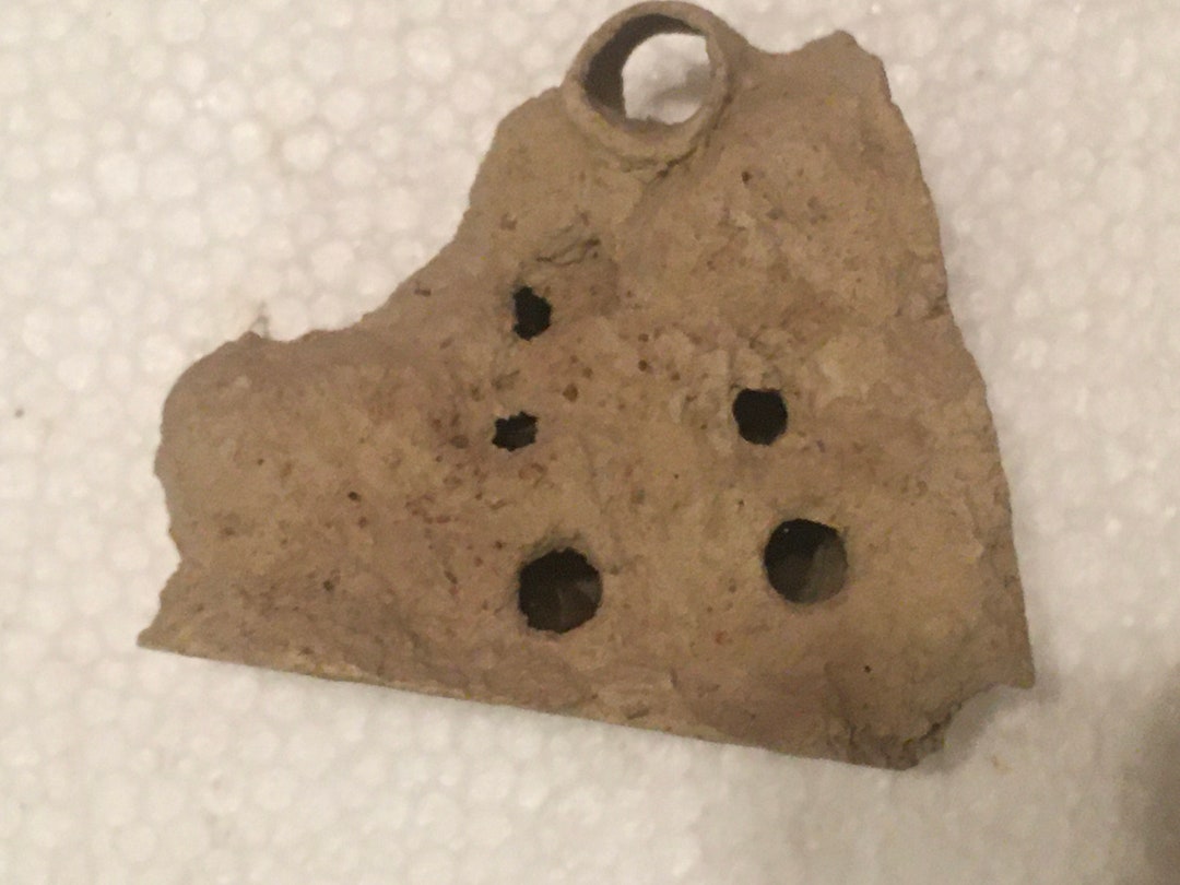 NATURAL DIRT DAUBER Nest/forest Finds - Etsy