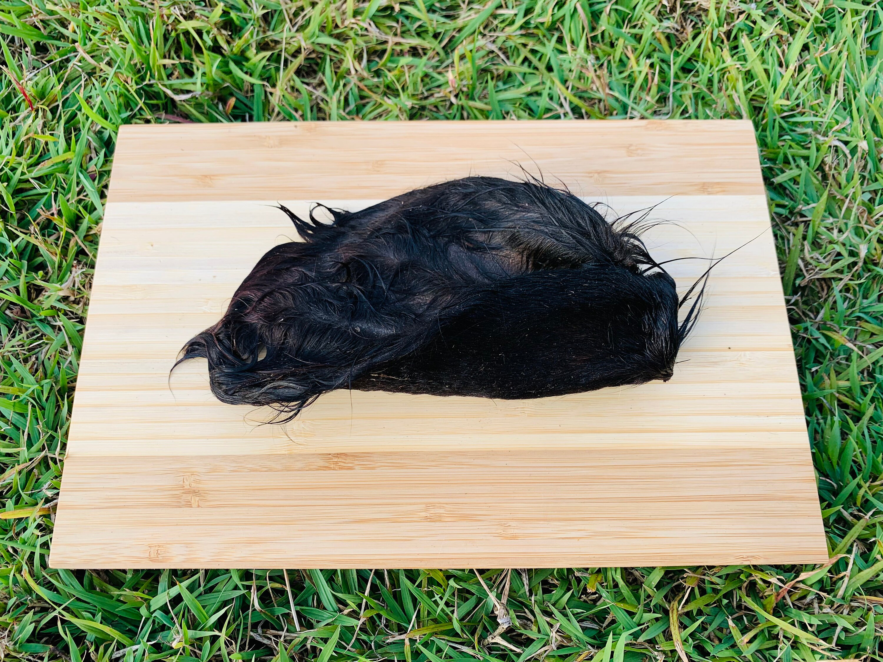 Australian Natural Furry Cow/beef Ears for Dogs - Etsy Australia