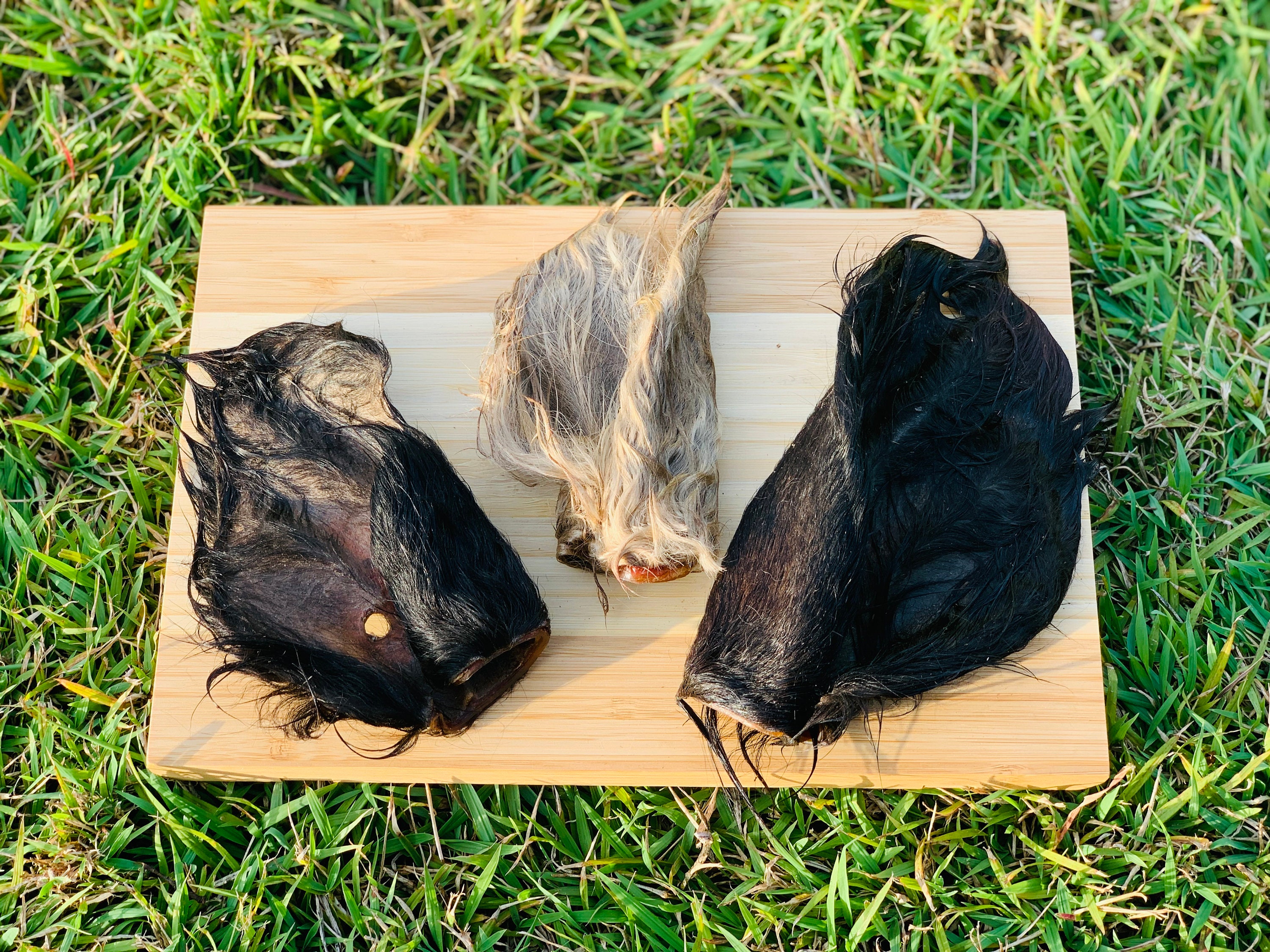 Australian Natural Furry Cow/beef Ears for Dogs - Etsy Australia