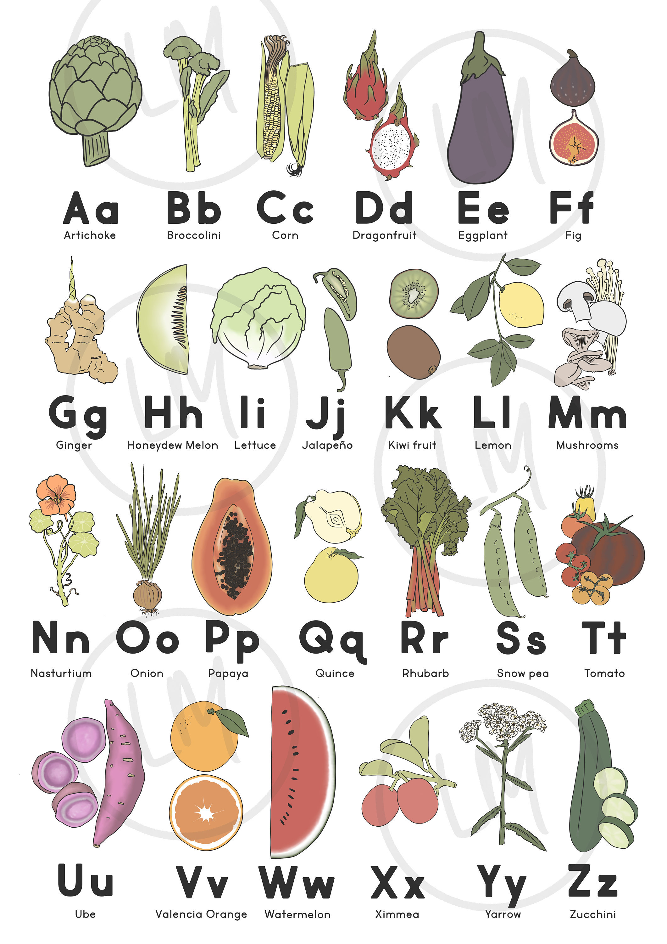 Vegetable Garden Alphabet Poster - Etsy