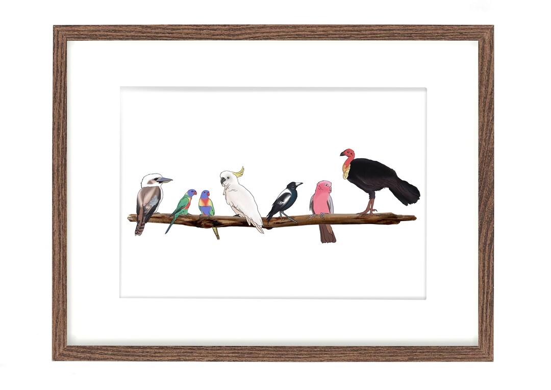 BACKYARD BIRD POSTER - Etsy