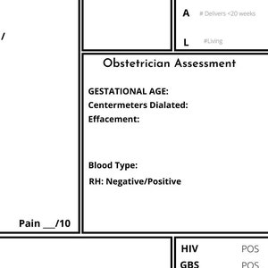 Ob/med Surg Patient Report Sheet - Etsy