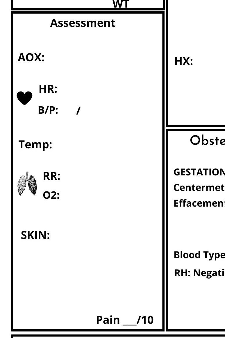 Ob/med Surg Patient Report Sheet - Etsy