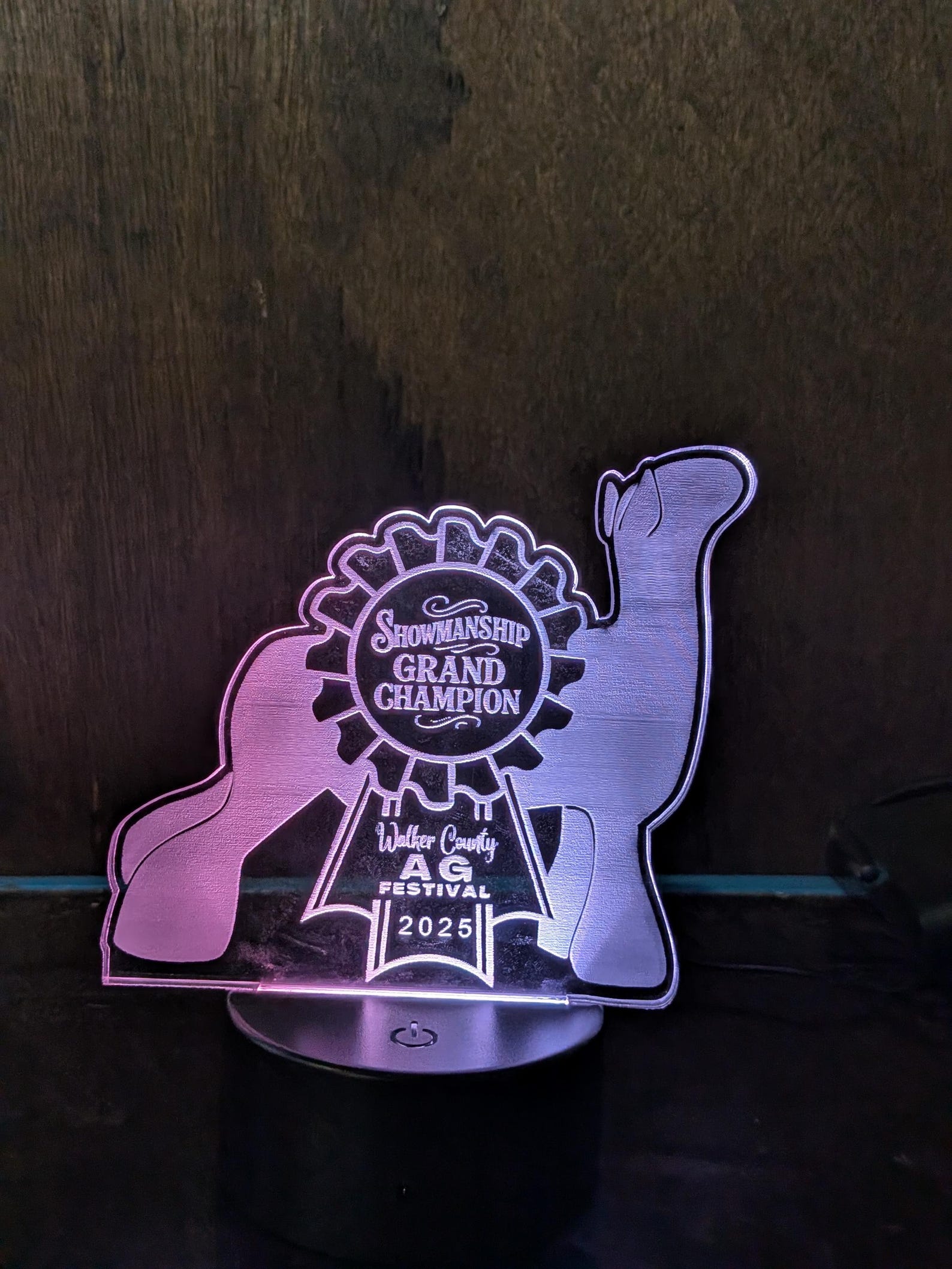 6" H X4" W LED Acrylic Trophy | Custom LED Award | Custom LED Plaque ...