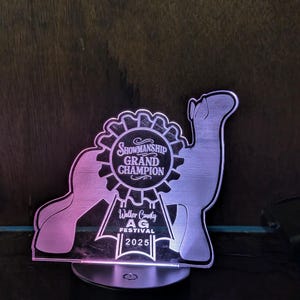 6" H X4" W LED Acrylic Trophy | Custom LED Award | Custom LED Plaque ...
