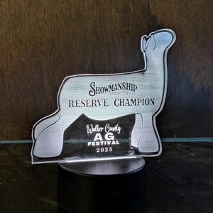 6" H X4" W LED Acrylic Trophy | Custom LED Award | Custom LED Plaque ...