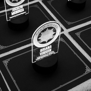 6" H X4" W LED Acrylic Trophy | Custom LED Award | Custom LED Plaque ...