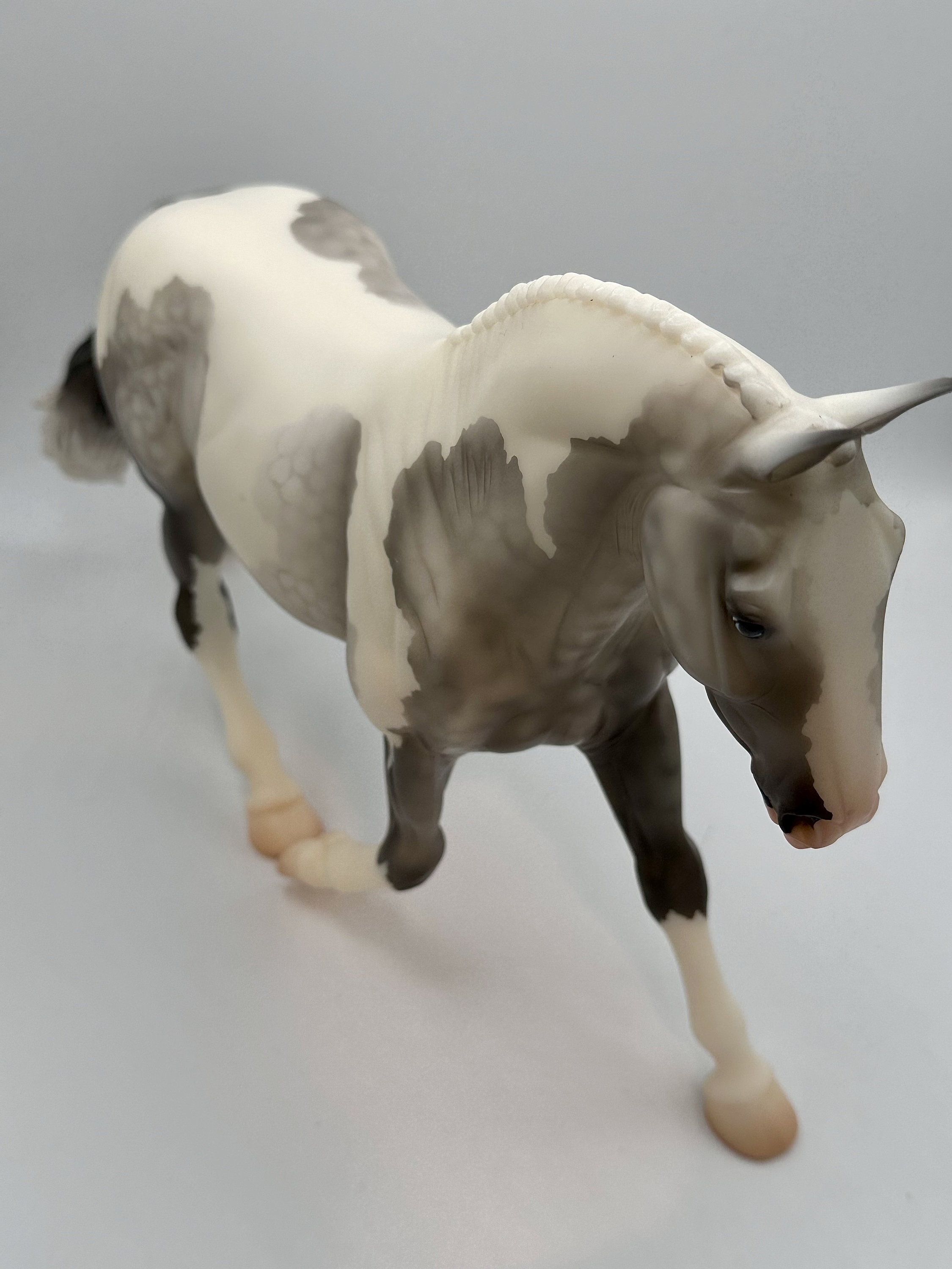 Breyerfest 2022 Rotating Draft Suprise #711510 Dapple Gray Pinto ...
