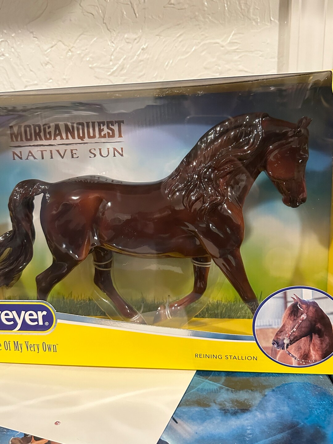 Breyer #1856 Collector Club Appreciation Glossy Morganquest Native Sun ...