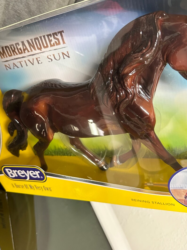 Breyer #1856 Collector Club Appreciation Glossy Morganquest Native Sun ...