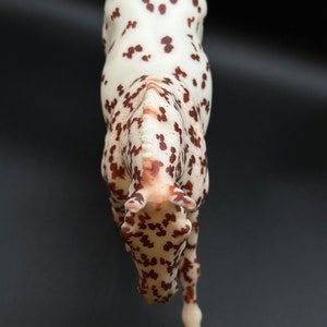 Breyer Rotating Draft Surprise Breyerfest 2022 Leopard - Etsy