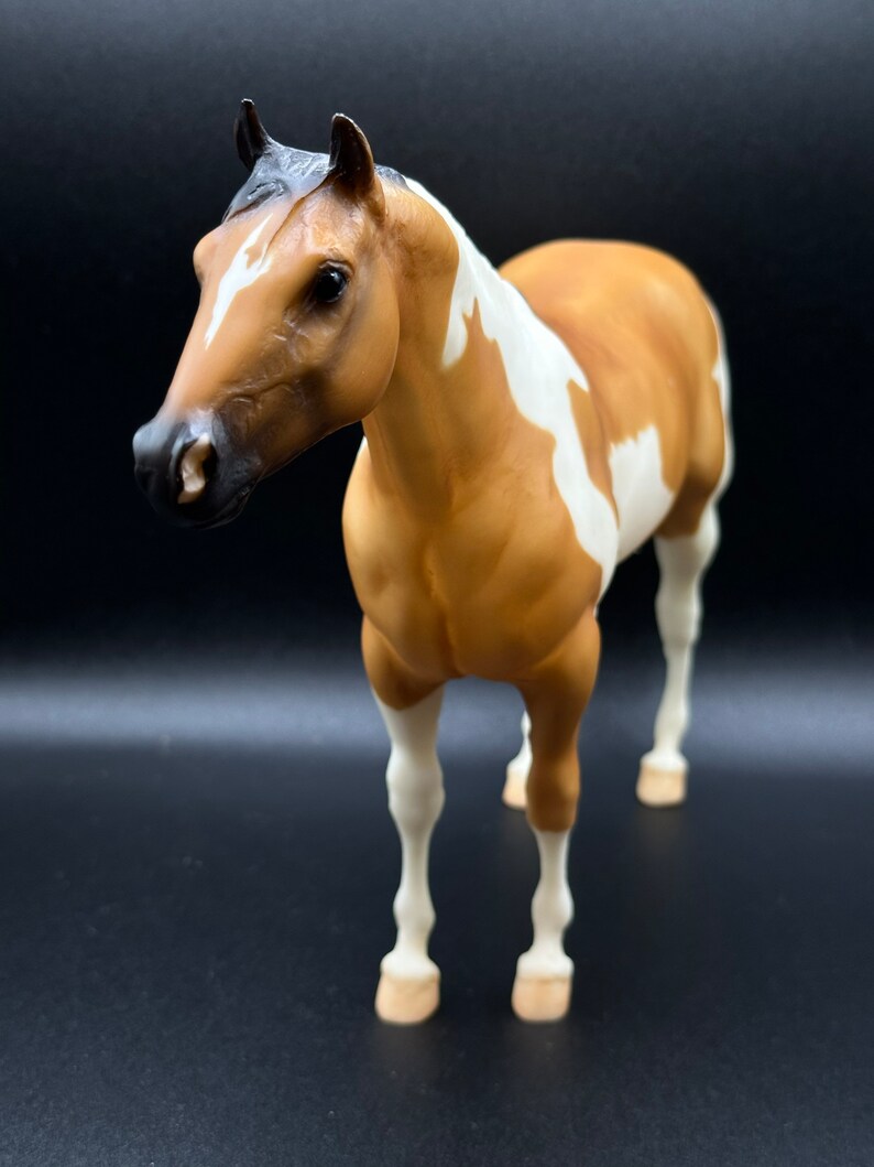 Breyer Traditional 1236 Banjo Buckskin Overo Paint. Stud Spider. - Etsy