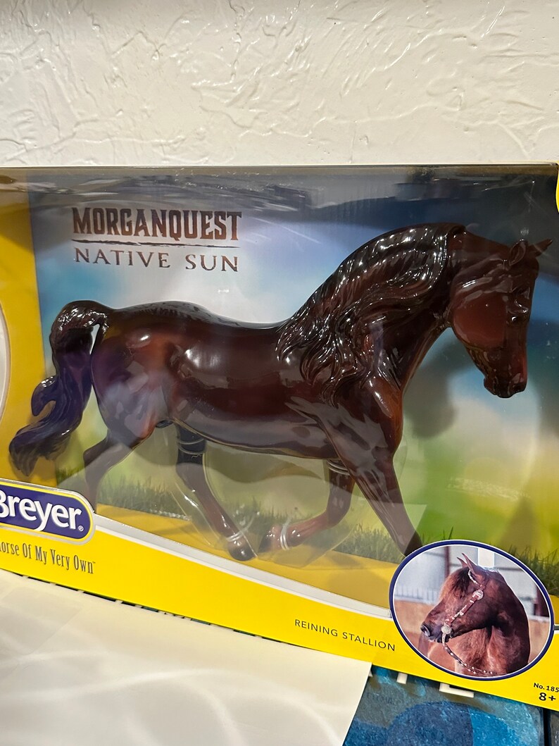 Breyer #1856 Collector Club Appreciation Glossy Morganquest Native Sun ...
