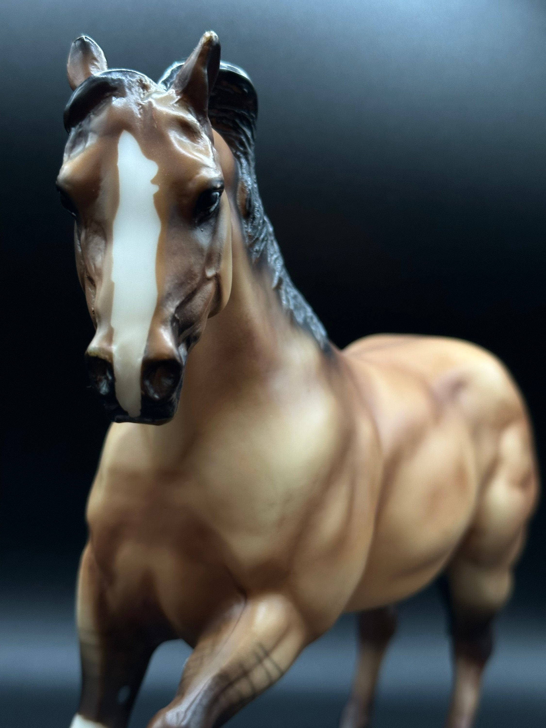 RARE Breyer Traditional 760192 Horse Lovers Country Vet Dun - Etsy