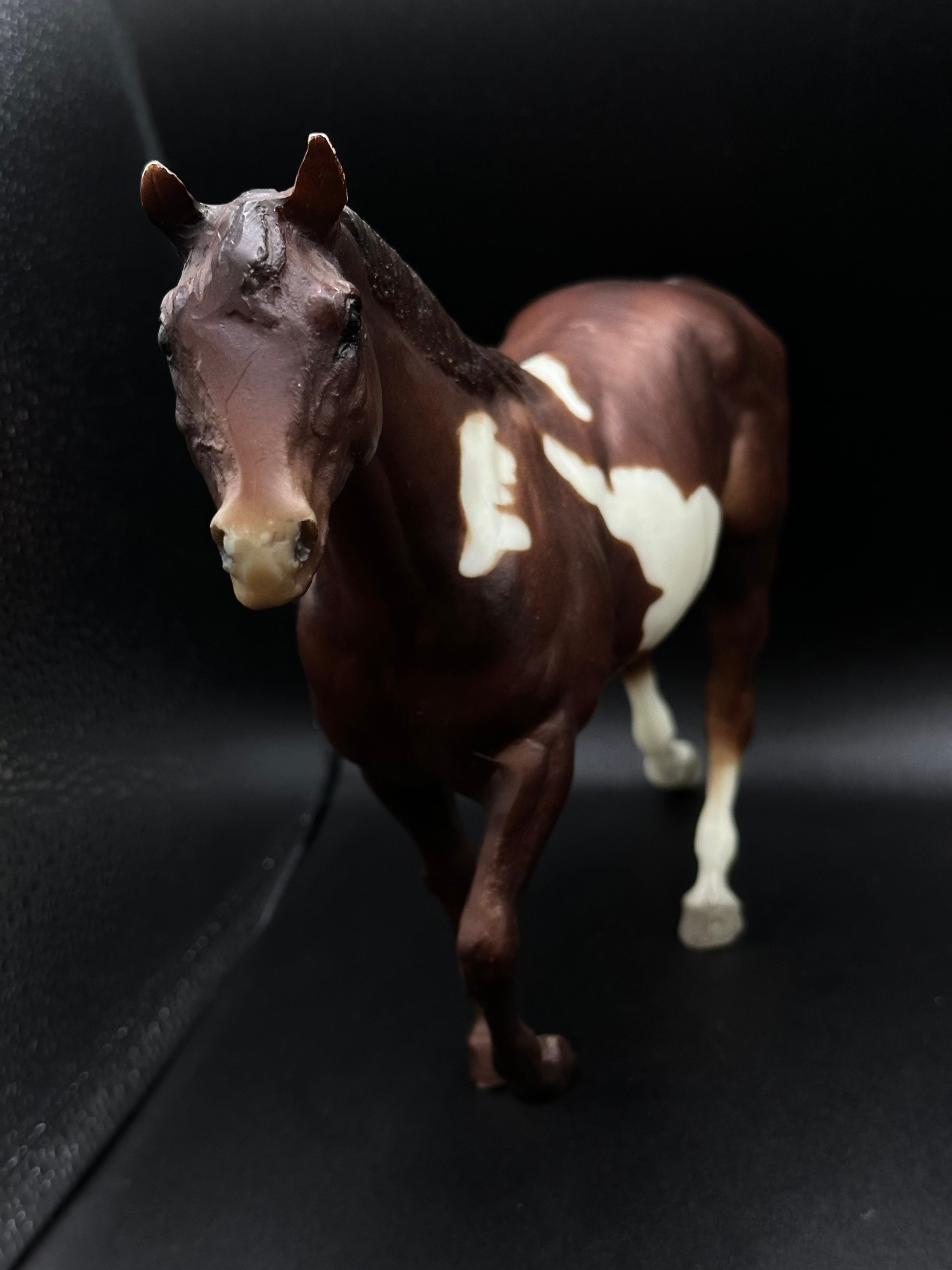 Chestnut Overo Horse