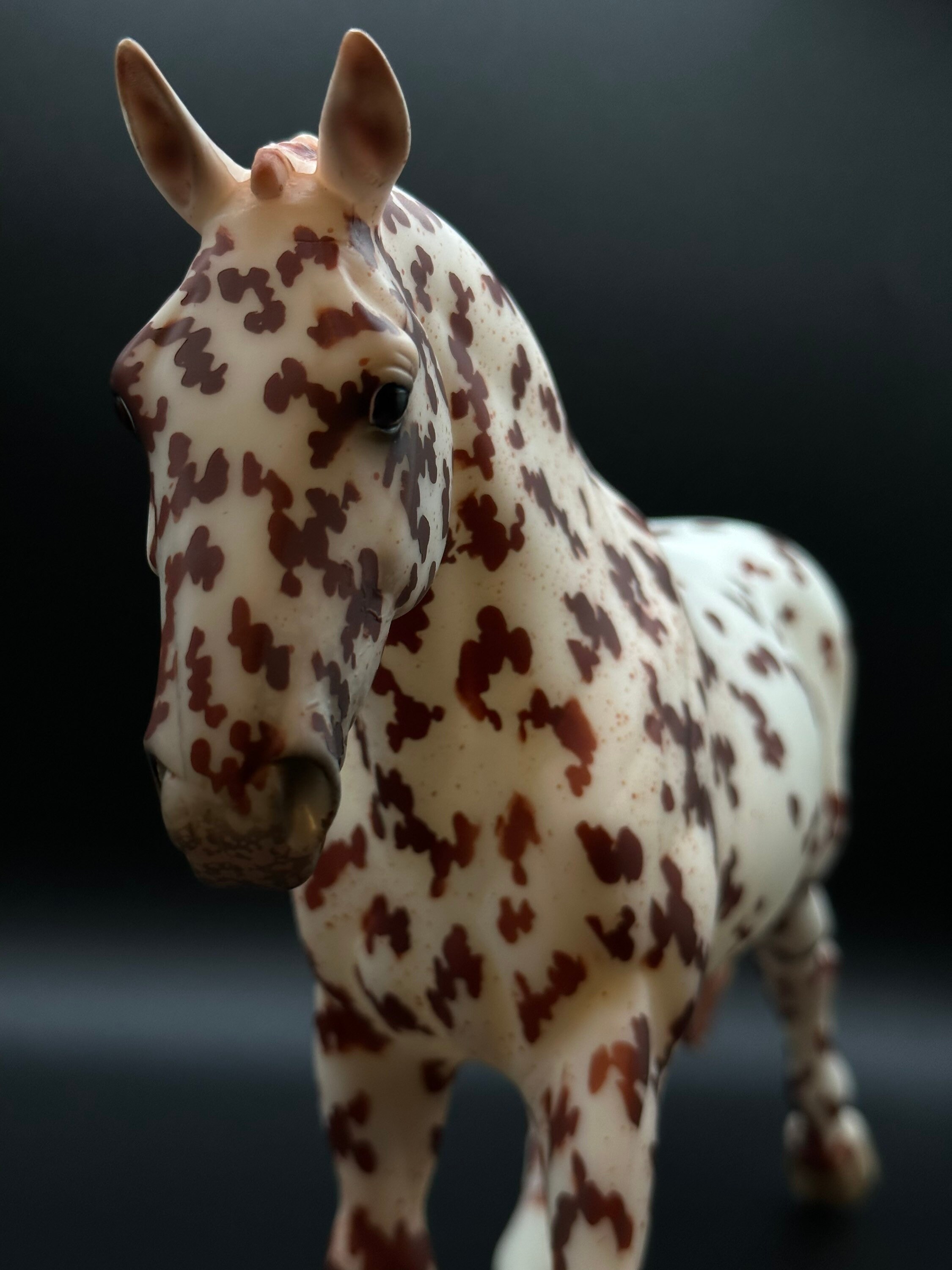 Breyer Rotating Draft Surprise Breyerfest 2022 Leopard - Etsy