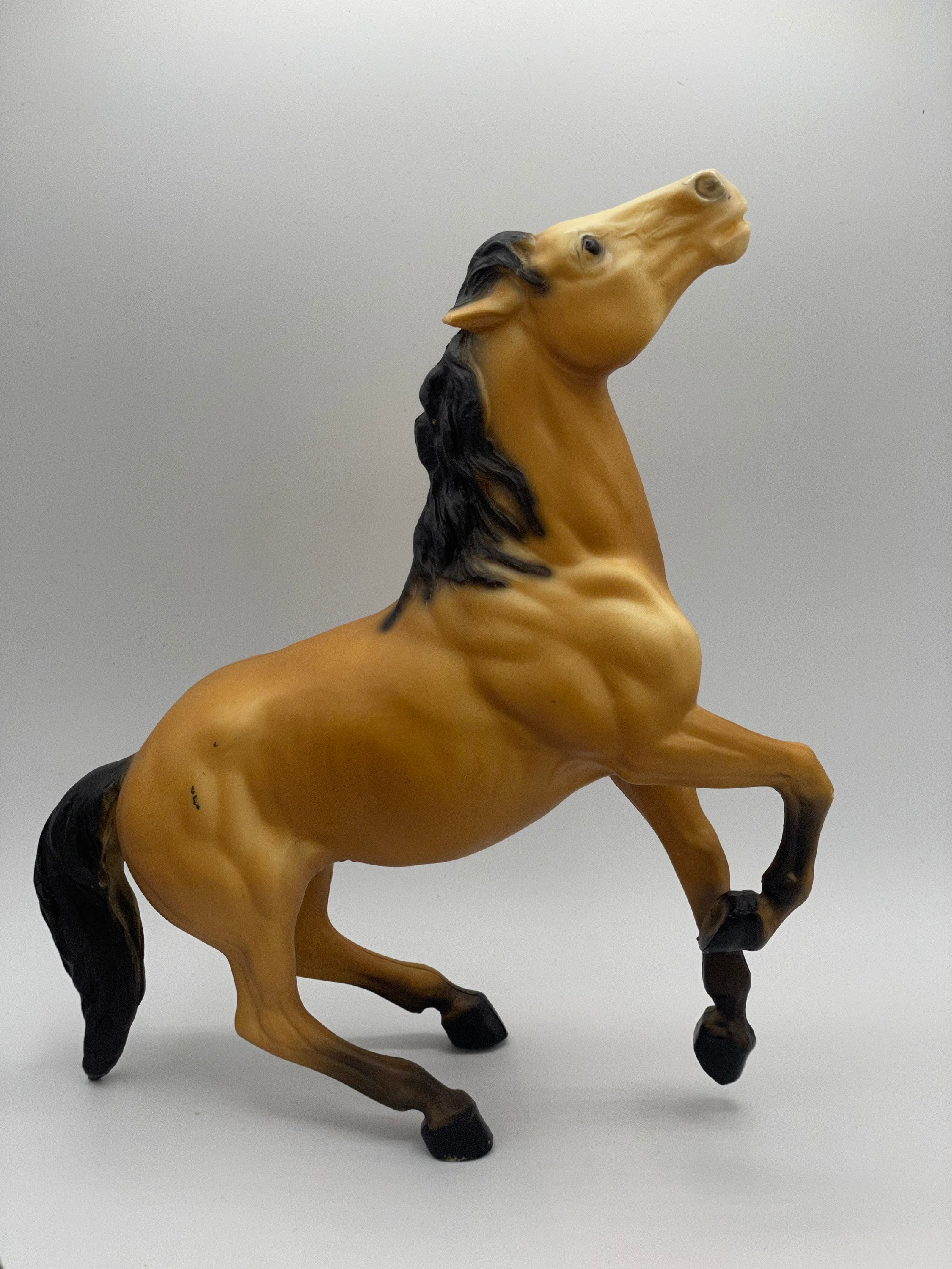 Buckskin Horses Rearing