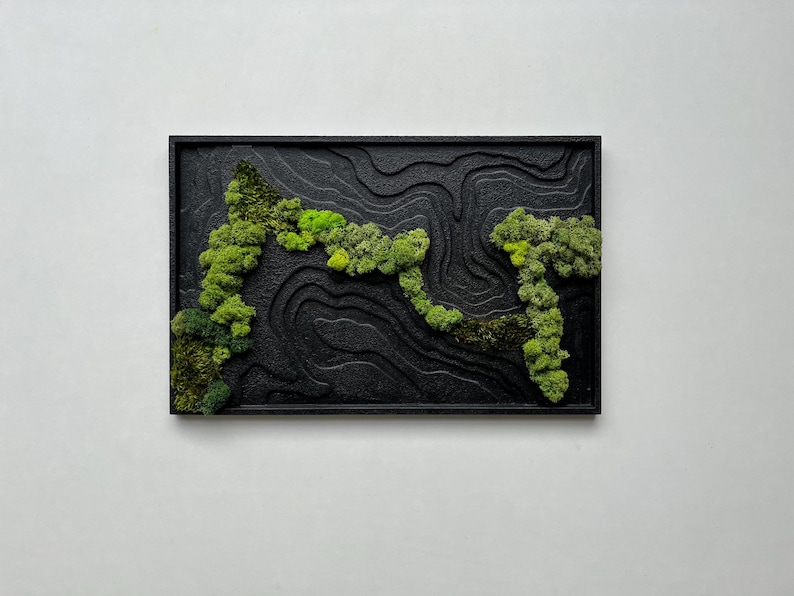 Black Topography Wall Art With Natural Moss - Etsy