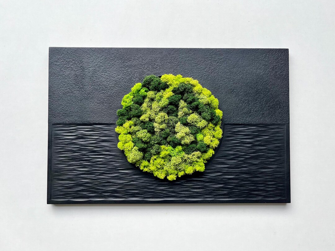 Black Carved and Textured Wall Art With Natural Moss - Etsy