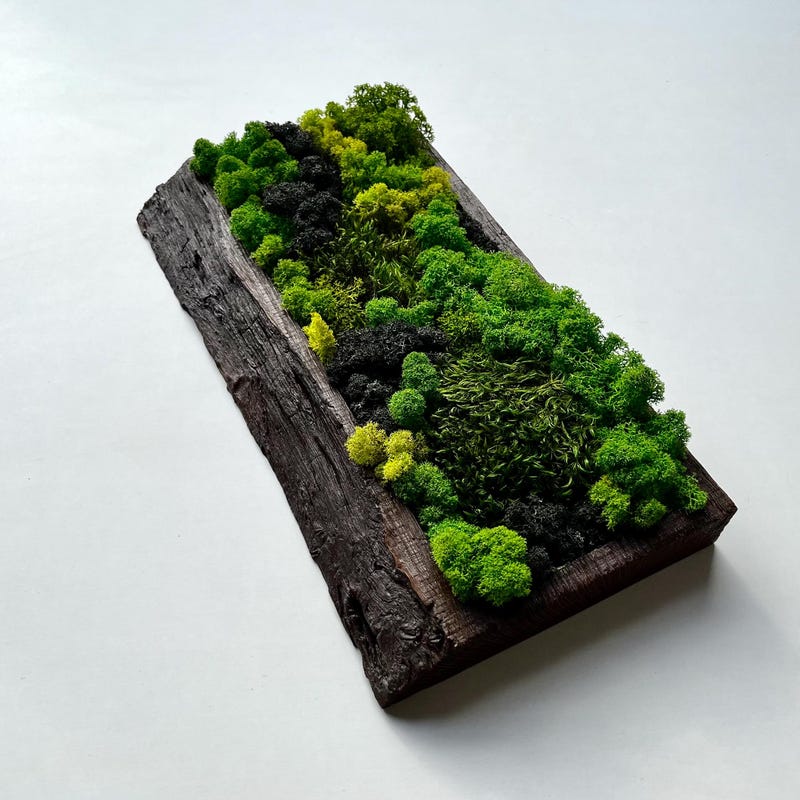 Moss Table Decor - Etsy