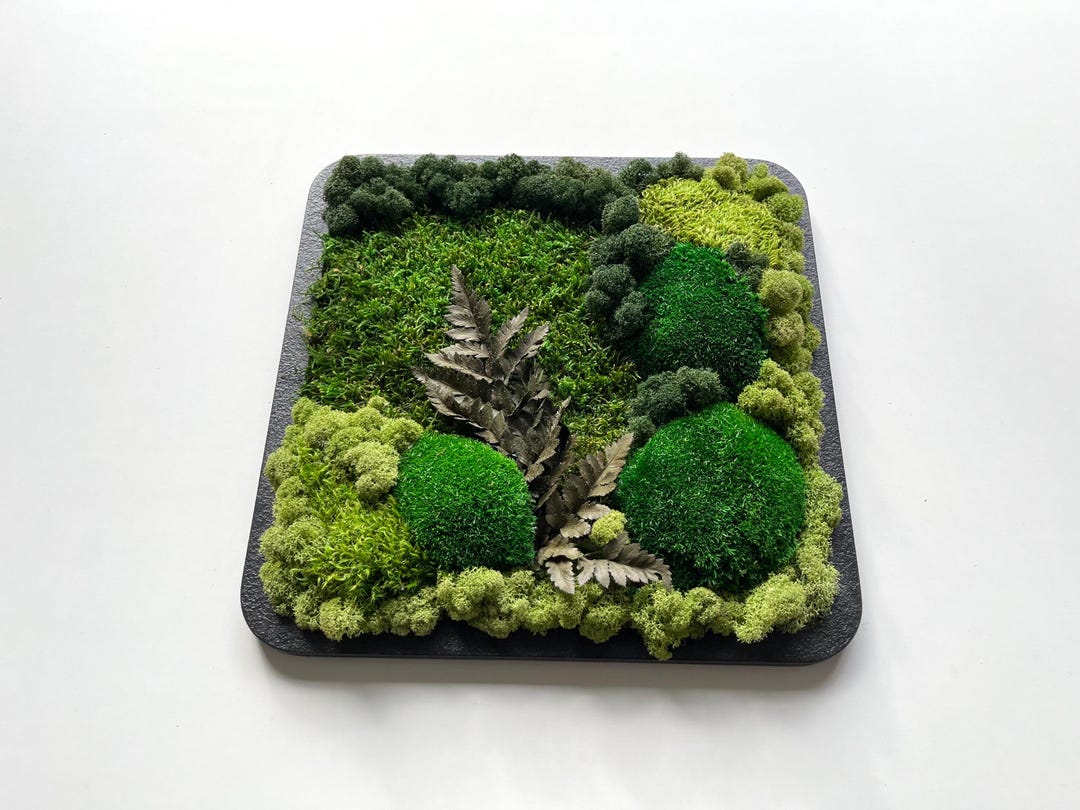 Square Moss Wall Art - Natural Green With Black Textured Frame - Etsy
