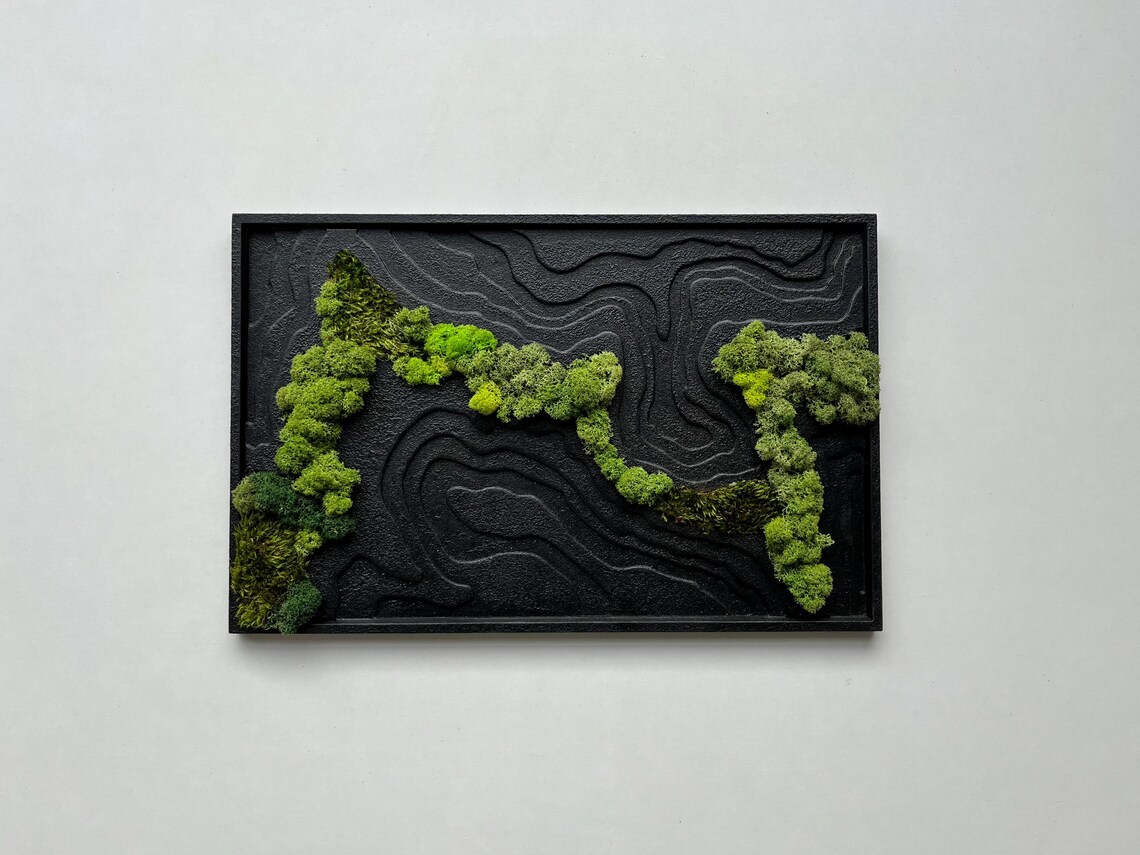 Black Topography Wall Art With Natural Moss - Etsy