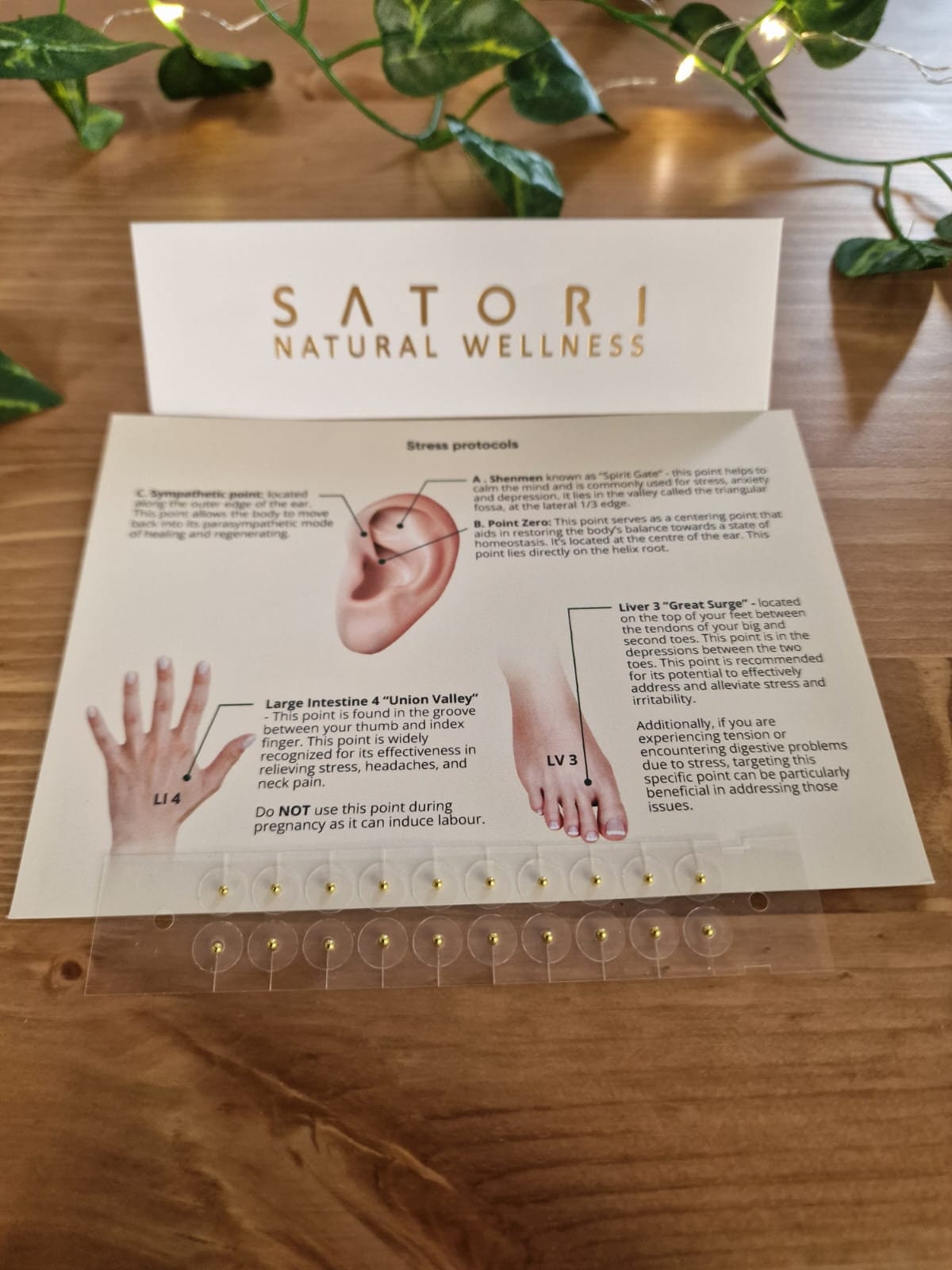 Acupressure Ear Seed Kit - 20 X Gold-plated Ear Seeds, Placement Charts ...