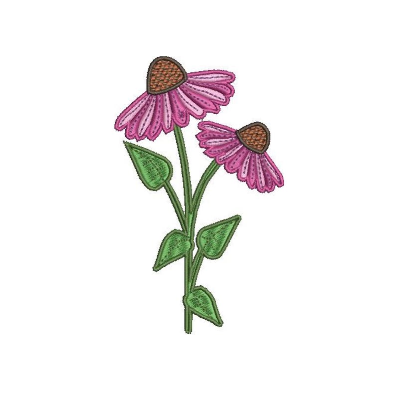 Purple Cone Flower - Etsy