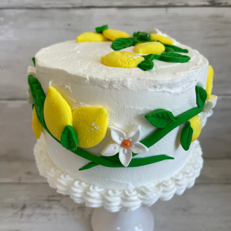 Fake Cake - Etsy