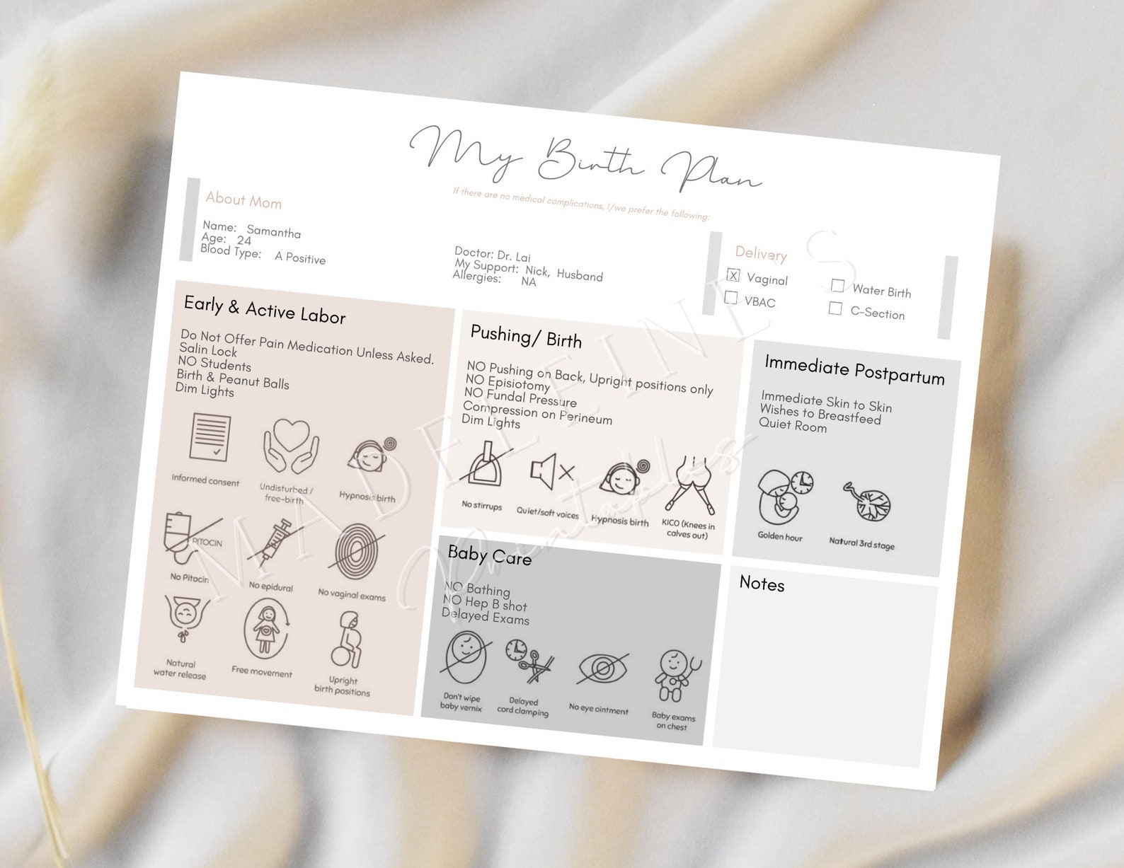 Birth Plan Template Personalized Labor and Delivery Plan Birth ...