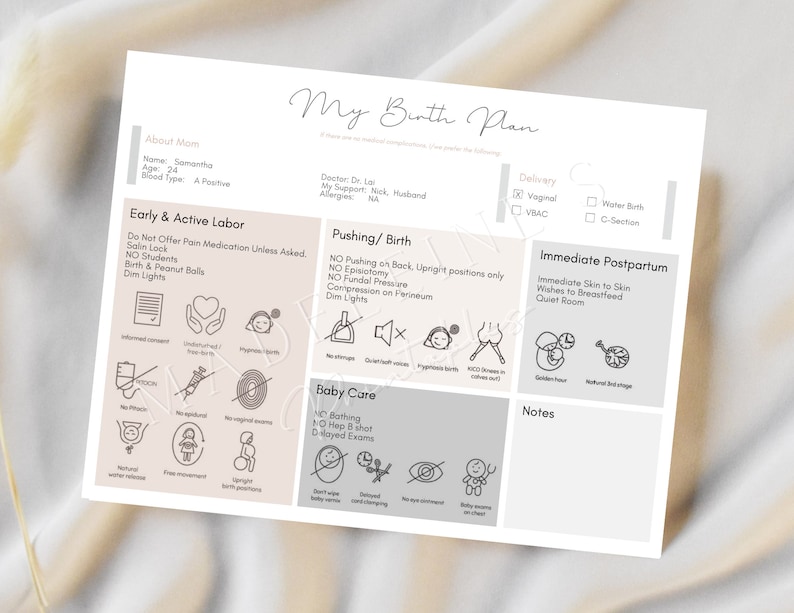 Birth Plan Template Personalized Labor and Delivery Plan Birth ...
