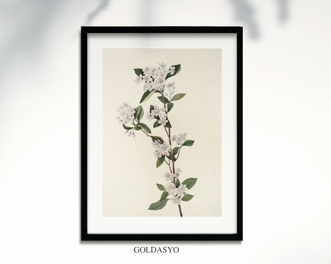 Rustic Botanical Print Antique Farmhouse Decor Botanical Farmhouse ...