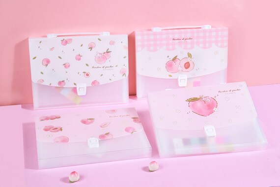 Sweet Peach File Folder Document Holder and Organizer - Etsy