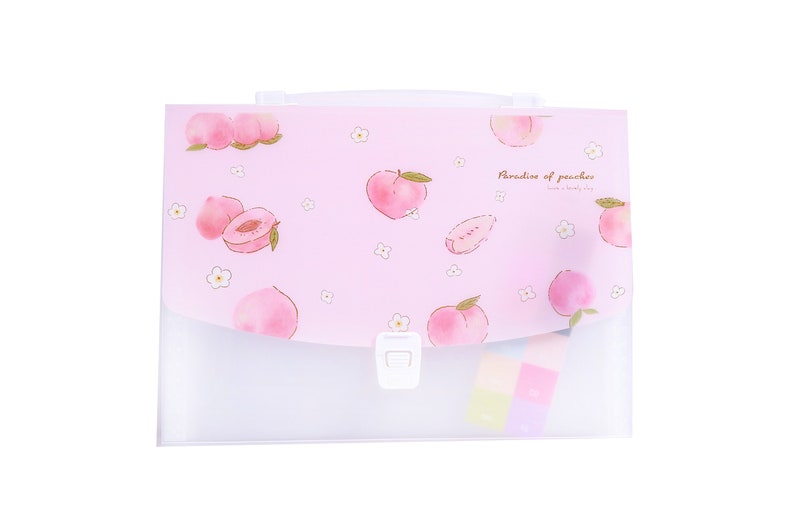 Sweet Peach File Folder Document Holder and Organizer - Etsy