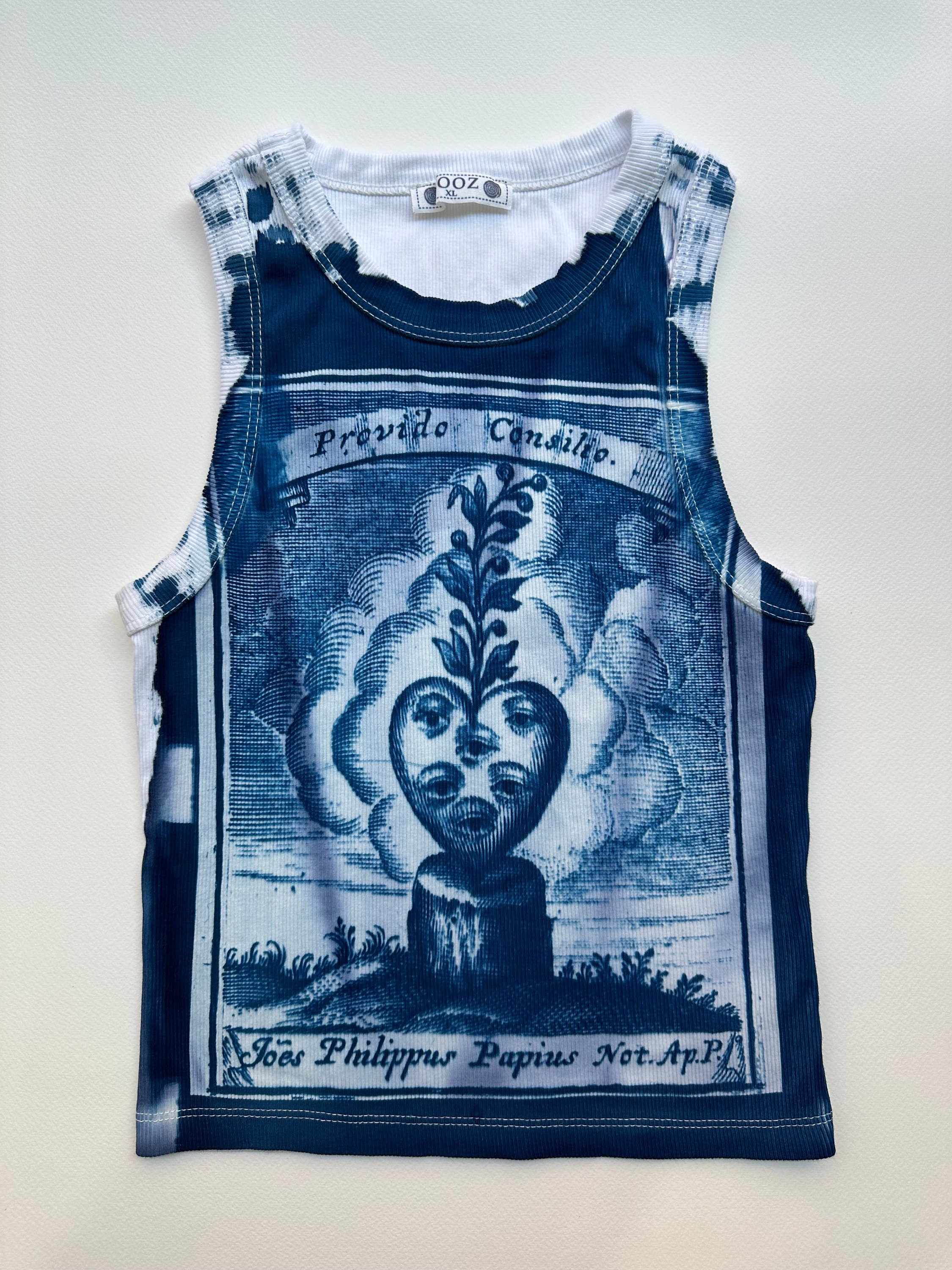 Emblem of Johannes Philippus Papius Crop Top - Etsy
